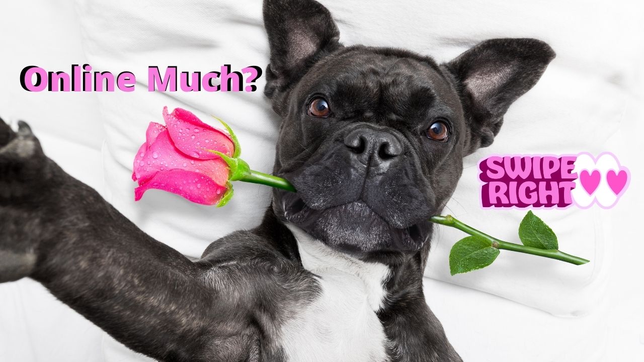 How Do Digital And The Best Virtual Pets That You Create Work?